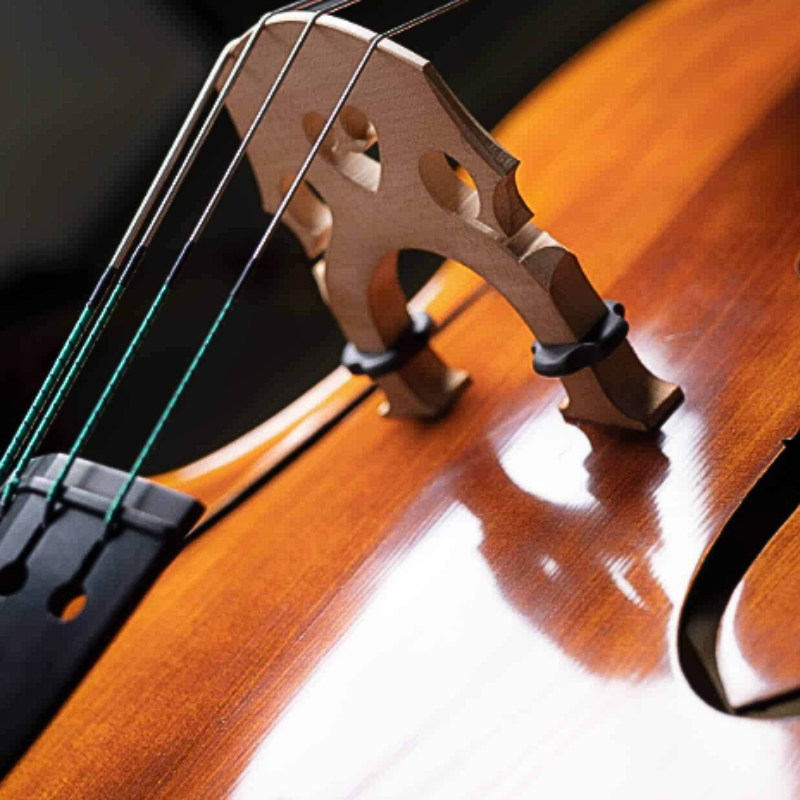 Find Your Perfect Strings: A Guide for Every String Player – WA Music
