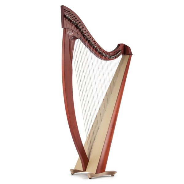 Titan 38-string Harp - Biocarbon (Cherry) by Salvi – WA Music
