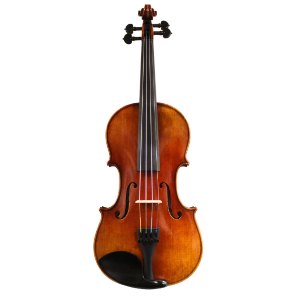Intermediate violins Perth | Violins $1000 to $6000 – WA Music